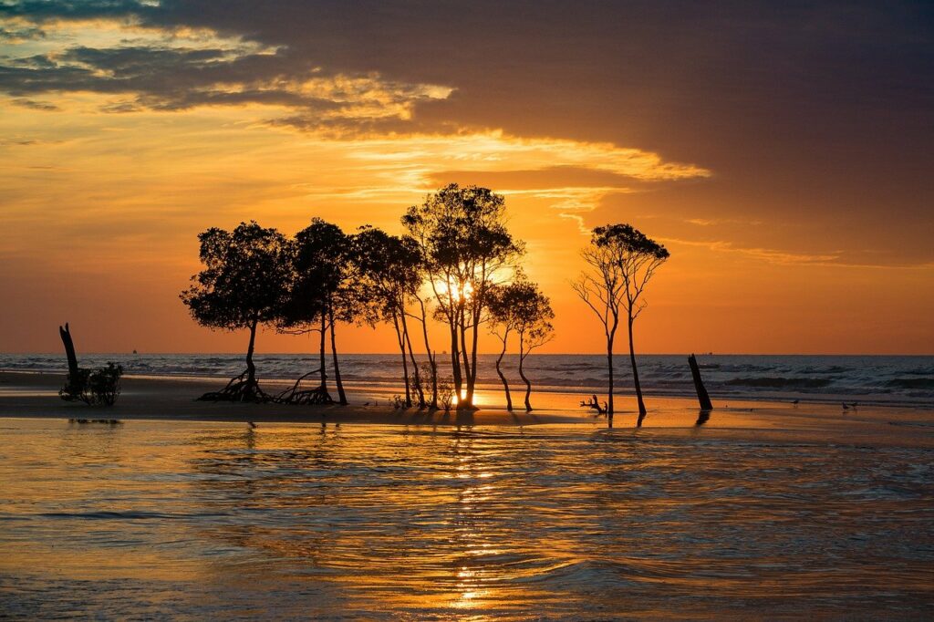 Darwin - Australien Lexikon